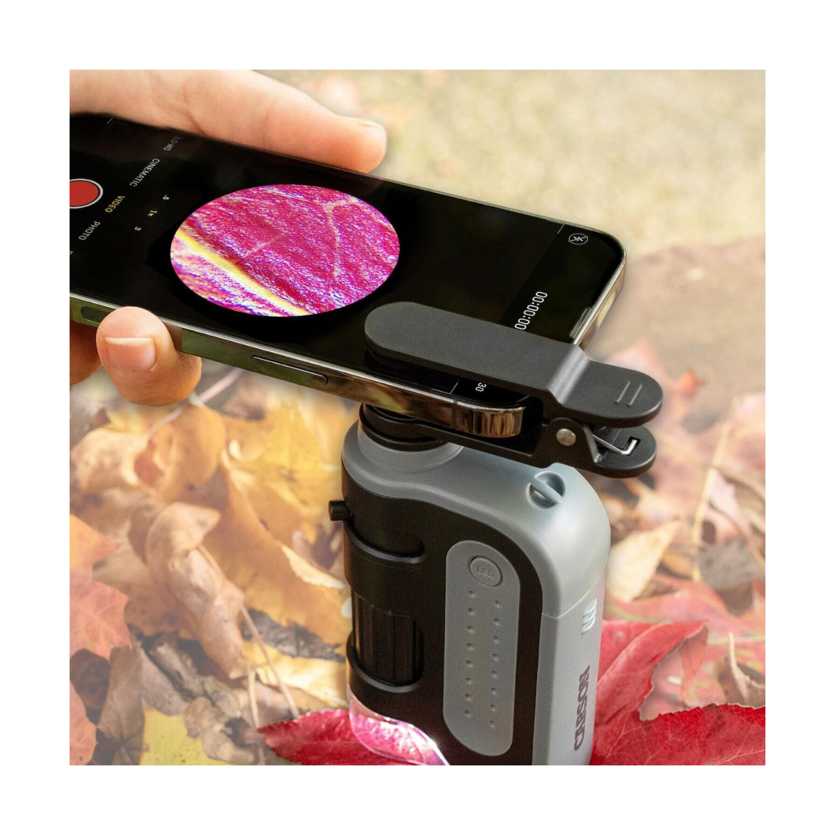 Microscope de poche MicroBrite Plus LED 60-120x avec adaptateur pour ...